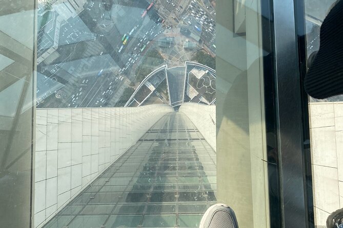 Private tour Lotte World,Tower,Aquarium(All Tickets are included) - Who Should Consider This Tour