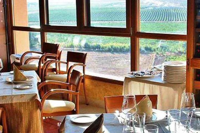 PRIVATE TOUR -Madrid Wineries Day Tou With Hotel Pickup and Lunch - Luxury Transportation
