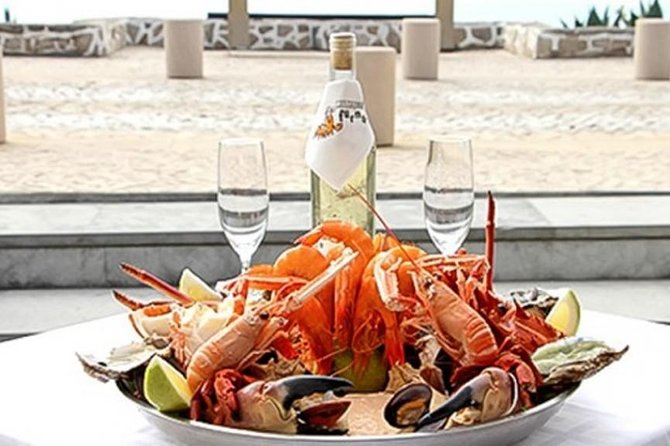 Private Tour: Mafra Convent and Ericeira fishing village with tickets - The Sum Up