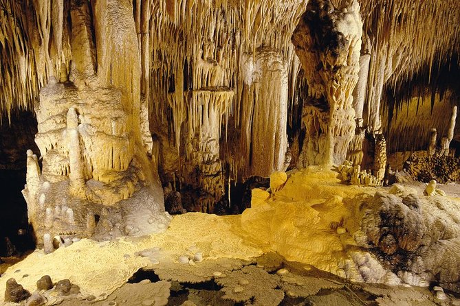Private Tour: Mallorca Caves of Drach and Majorica Pearl Factory - Important Information
