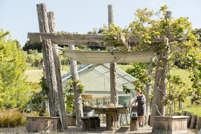 Private tour - Matakana Art & Wine Village - A Closer Look at the Itinerary