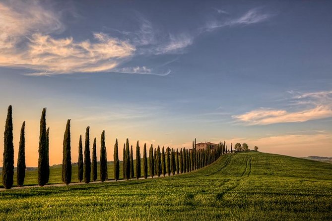 Private Tour: Medieval Val d'Orcia by Minivan from Florence - The Sum Up