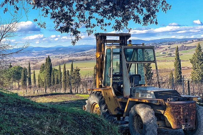 Private Tour: Montalcino Wine Tasting Experience - Exploring Prestigious Wine Estates