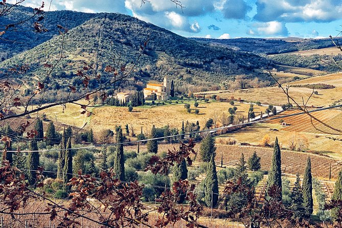 Private Tour: Montalcino Wine Tasting Experience - Tuscan Culinary Delights