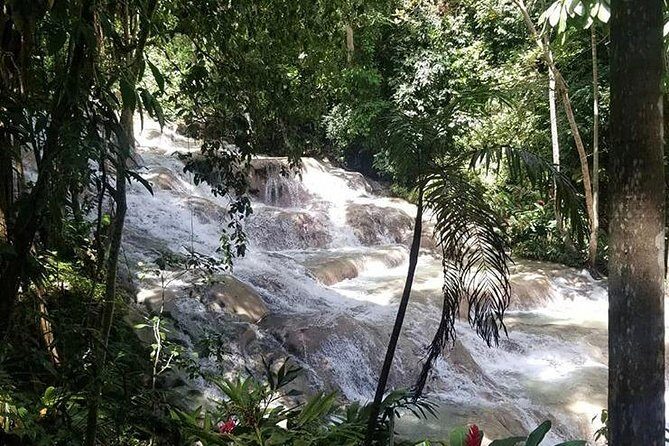 Private Tour Montego Bay To Blue Hole and Dunns River falls - Authentic Experiences and Traveler Feedback