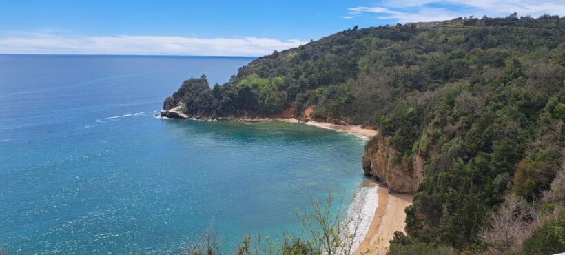 Private Tour: Montenegro Day Trip from Dubrovnik - Final Thoughts