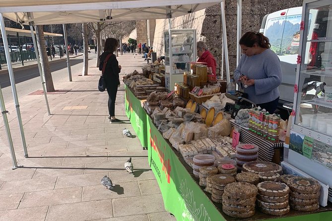 Private Tour: Montserrat and Cava Visit - Final Thoughts