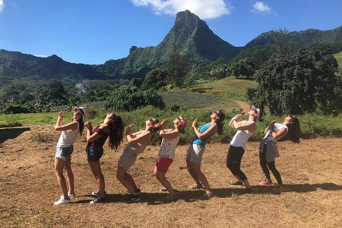 Private Tour Moorea 4WD - Belvedere Pineapple Farm, Magic Mount. - Who Will Love This Tour?