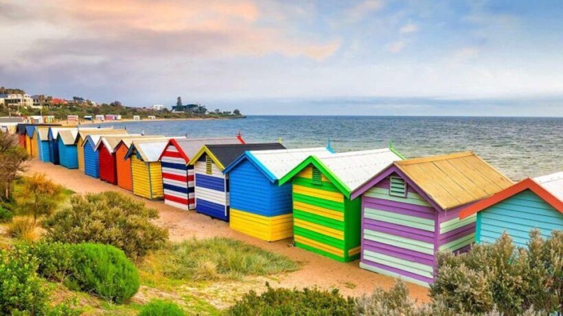 Private Tour: Mornington Peninsula Wine, Beer & Hotsprings - Key Points