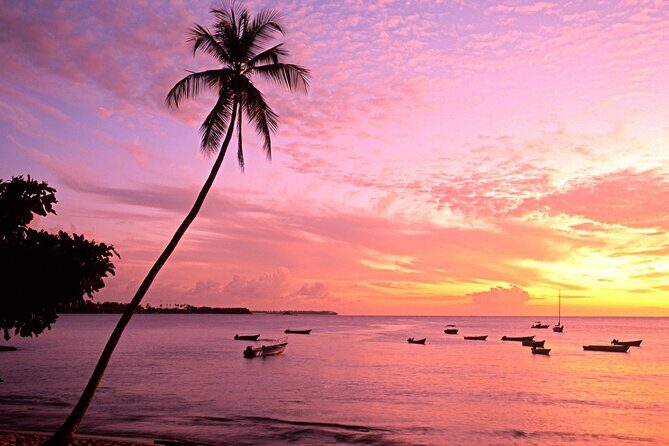 Private Tour Mount Irvine Bay from Tobago - What Makes This Tour Stand Out?