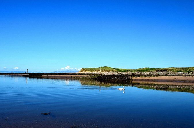 Private Tour Mount Irvine Bay from Tobago - FAQs