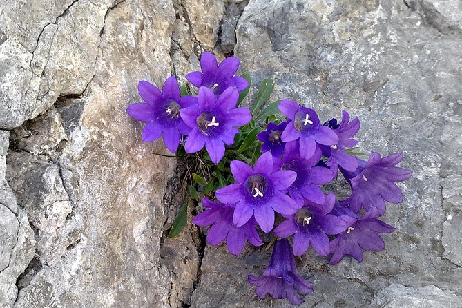 Private tour: Mt.Olympus-Old Panteleimon - What Reviewers Say