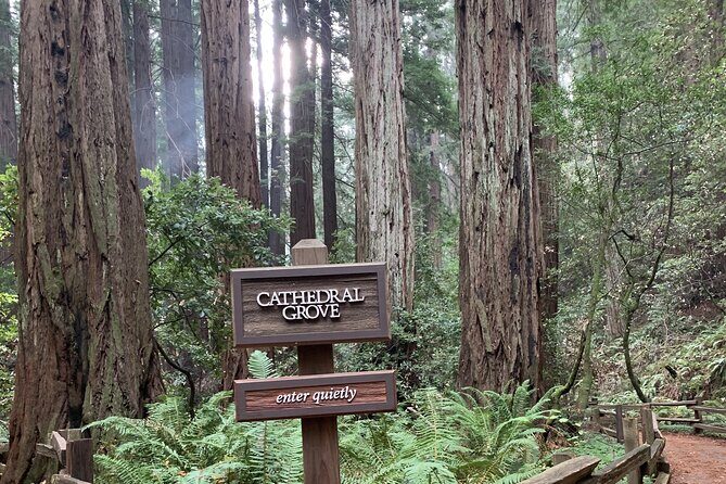 Private Tour Muir Woods and Sausalito - Introduction: A Personalized Day in San Francisco