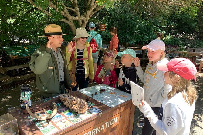 Private Tour Muir Woods and Sausalito - An In-Depth Look at the Tour Experience