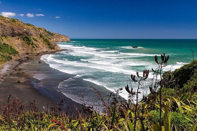 Private Tour - Muriwai Beach & Wine Tasting - Exploring Muriwai Beach: Wild and Wonderful