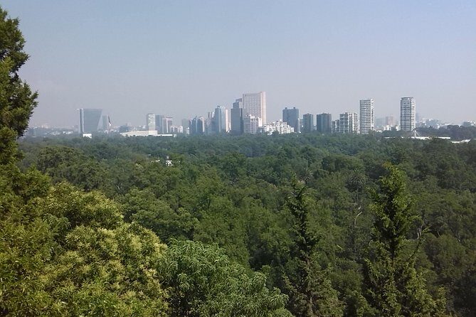 Private Tour Museum of Anthropology and Chapultepec Castle. - The Price and Who Its For