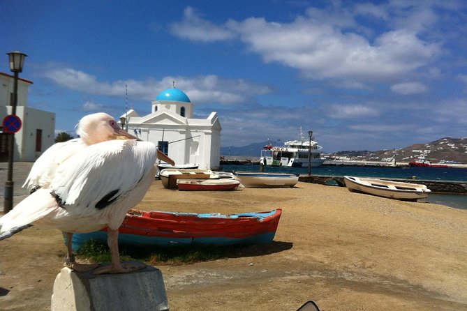 Private Tour: Mykonos Island in Half a Day - Experience Quality and Authenticity