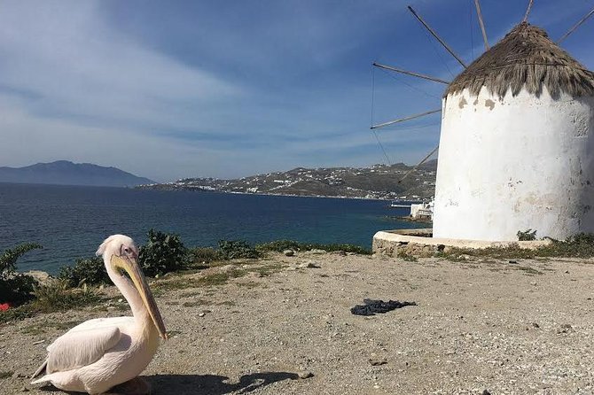 Private Tour: Mykonos Island in Half a Day - Value for Money