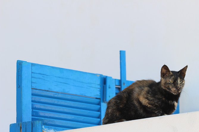 Private Tour: Mykonos Island in Half a Day - Final Thoughts