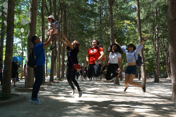 Private Tour: Nami Island& (Alpaca World 'or' Morning Calm)&Lunch - Analyzing the Price & Experience Value