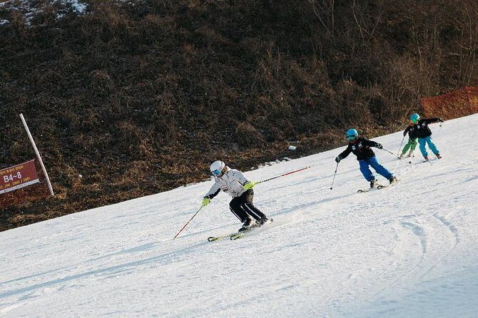 [Private Tour] Nami Island & Ski (Ski Lesson, Equip & Clothing Included) - Whats Included and Whats Not