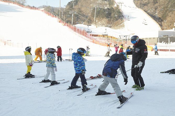 [Private Tour] Nami Island & Ski (Ski Lesson, Equip & Clothing Included) - Is It Worth the Price?