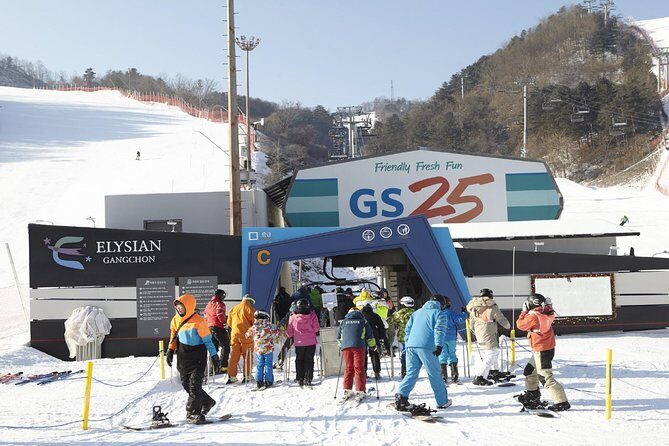 [Private Tour] Nami Island & Ski (Ski Lesson, Equip & Clothing Included) - Who Should Consider This Tour?