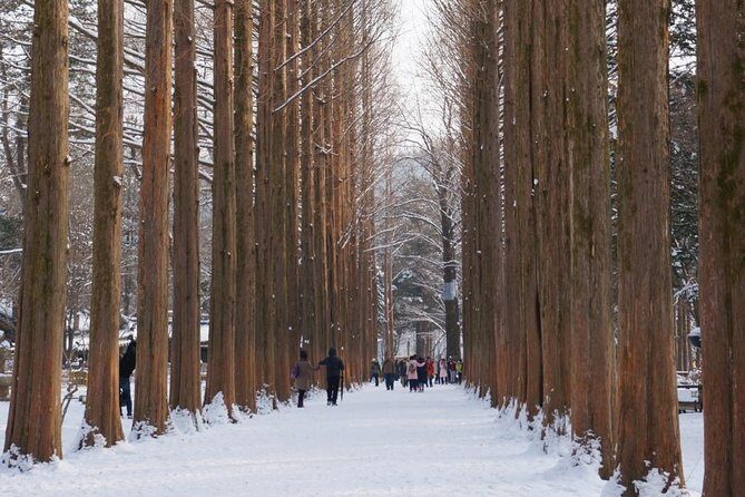 [Private Tour] Nami Island & Ski (Ski Lesson, Equip & Clothing Included) - FAQs about the Private Nami Island & Ski Tour