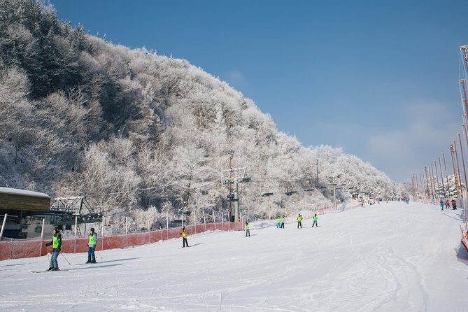 [Private Tour] Nami Island & Snow Viewing and Snow sled (More Members Less Cost) - What Makes This Tour Stand Out