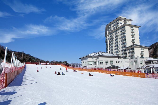 [Private Tour] Nami Island & Snow Viewing and Snow sled (More Members Less Cost) - FAQs