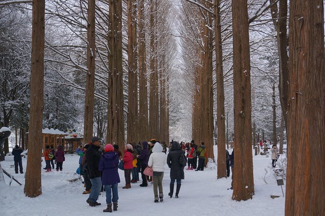 Private Tour Nami Island with Petite France 'and/or' The Garden of Morning Calm - The Sum Up: Who Will Love This Tour?