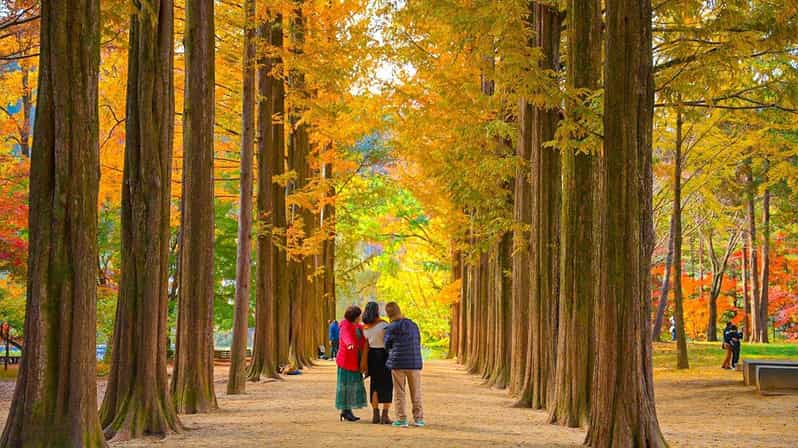 [Private Tour] Nami Island+Morning calm Garden+Petite France - Final Thoughts on the Tour