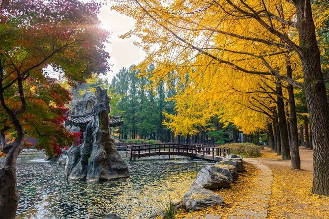 Private Tour Nami Island,Petite France,The Garden of Morning Calm - An In-Depth Look at the Itinerary