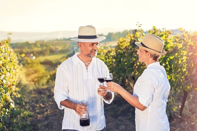 Private Tour: Napa and Sonoma Wine Country - The Sum Up: Who Will Love This Tour?