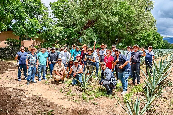 Private Tour New Raicilla Route to Mascota from Puerto Vallarta - The Sum Up
