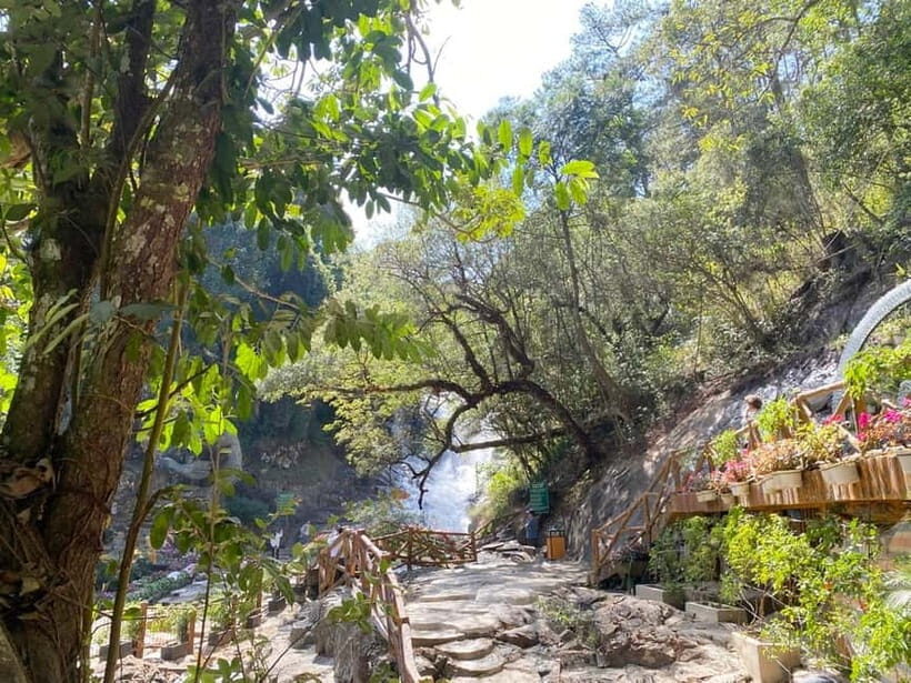 Private tour Nha Trang-Dalat excursion (start at Nha Trang) - An In-Depth Look at What This Tour Offers