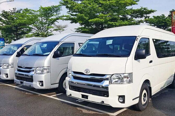 Private Tour North Coast Mountain Tour & Maracas Beach - An In-Depth Look at the Tour Experience