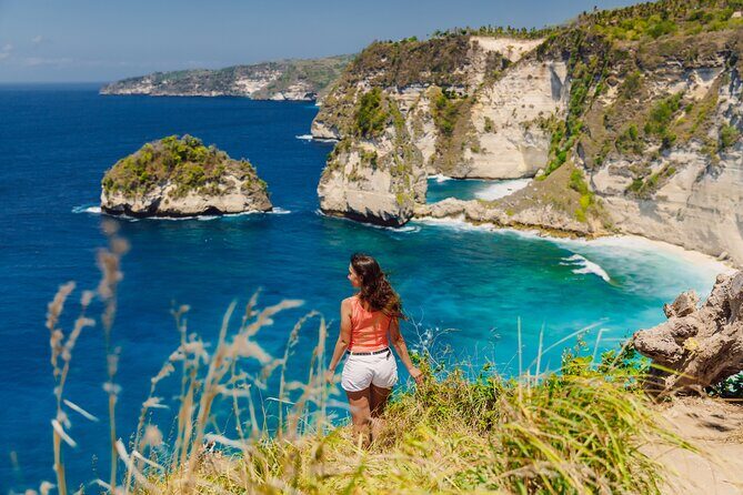 Private Tour: Nusa Penida DiamondBeach-Tree House EastSide Island - Key Points