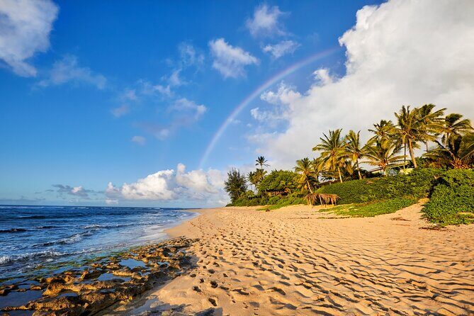 Private Tour Oahu from Honolulu - Analyzing the Value