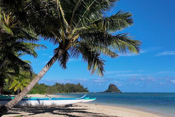 Private Tour Oahu-Full or Half Day-Customizable-Circle Island - Key Points