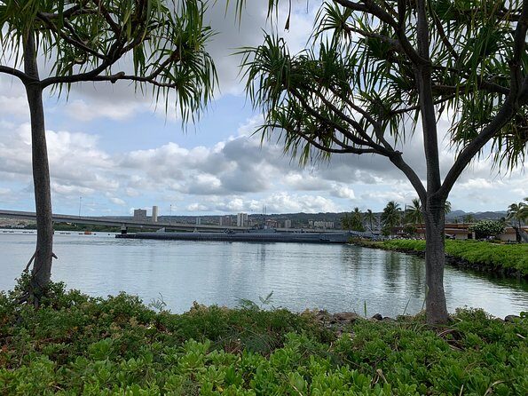 Private Tour : OAHU, MAUI, KAUAI or BIG ISLAND : Pick any Island - Who Is This Tour Best For?