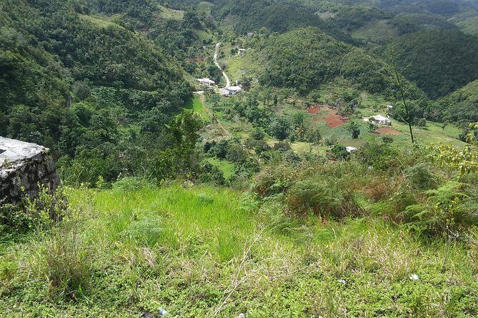 Private Tour Ocho Rios or Runaway Bay To 9 Mile Bob Marley Birth & Resting Place - Who Will Love This Tour?