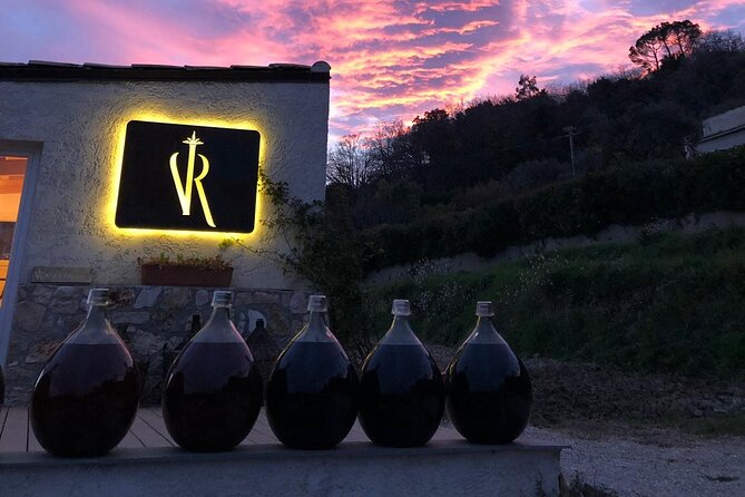 Private Tour of 2 Estates with Wine Tasting in French Riviera - Exploring the Private Tour of 2 Estates with Wine Tasting in the French Riviera