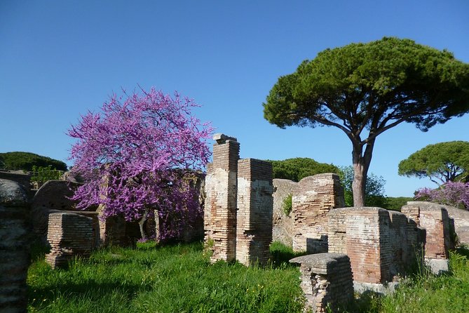 Private Tour of Ancient Ostia with Exclusive Guide and Skip-the-line Tickets - The Sum Up