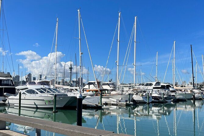 Private Tour Of Auckland - Key Points