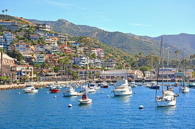Private Tour of Avalon from Catalina Island - Frequently Asked Questions