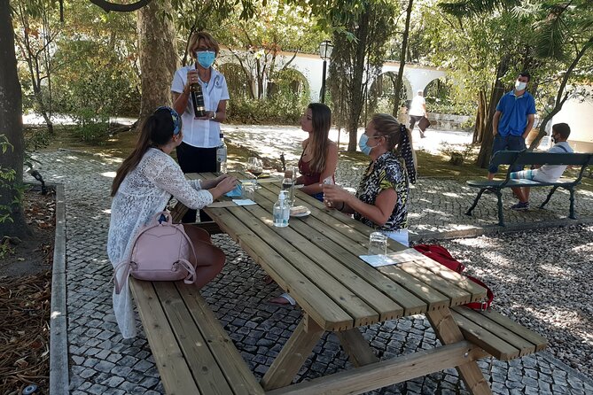 Private Tour of Azeitão / Palmela / Setúbal Wines - Accessibility and Participation