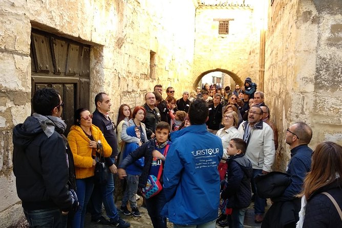 Private Tour of Baeza - Navigating the Public Transportation Options