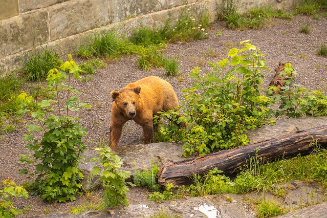 Private Tour of Bern in 60 minutes with a Local - The Sum Up: Is This Tour Right for You?