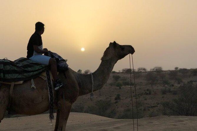 Private Tour of Bishnoi Villages with Desert Safari - A Genuine Taste of Rajasthan’s Rural Life